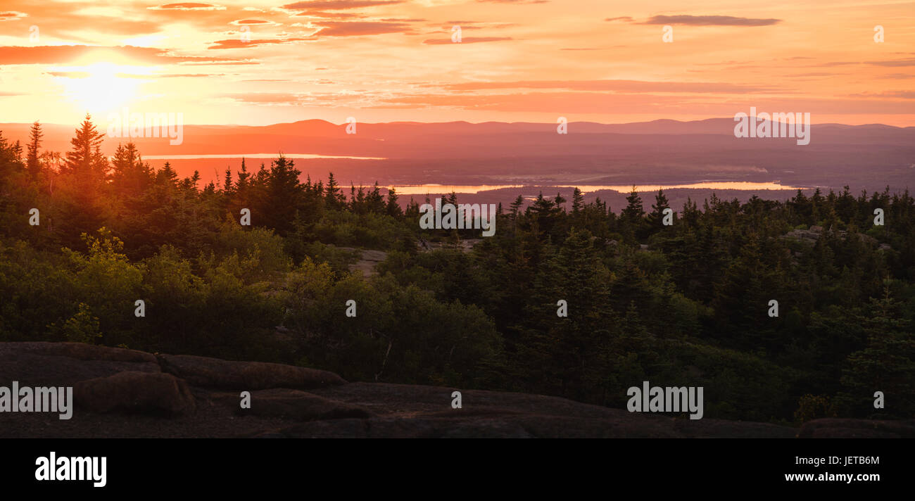 Sunset over pine forest in Acadia National park Stock Photo - Alamy