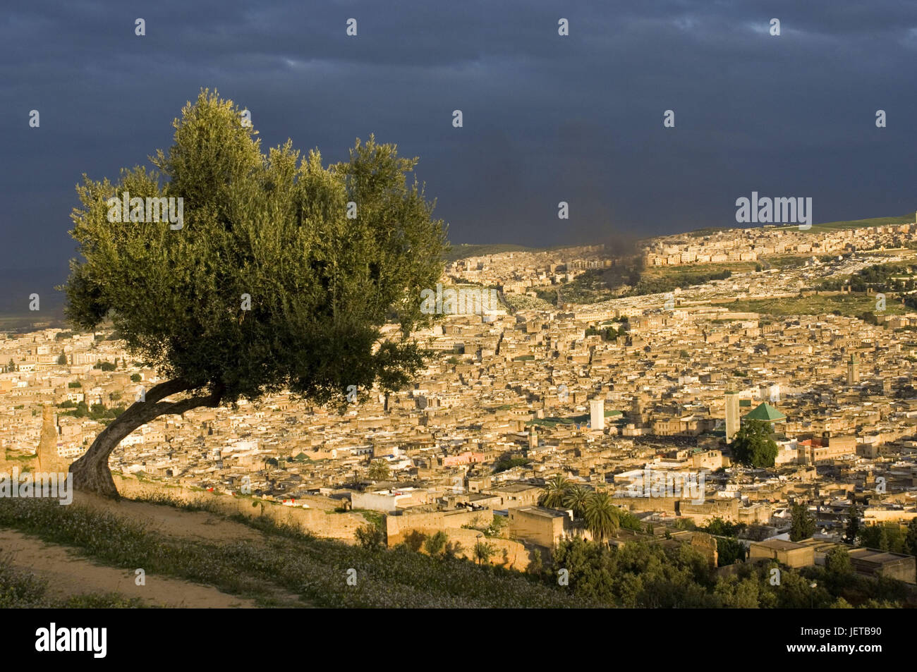 Morocco, fez, town overview, country lane, tree, beautyful clouds ...