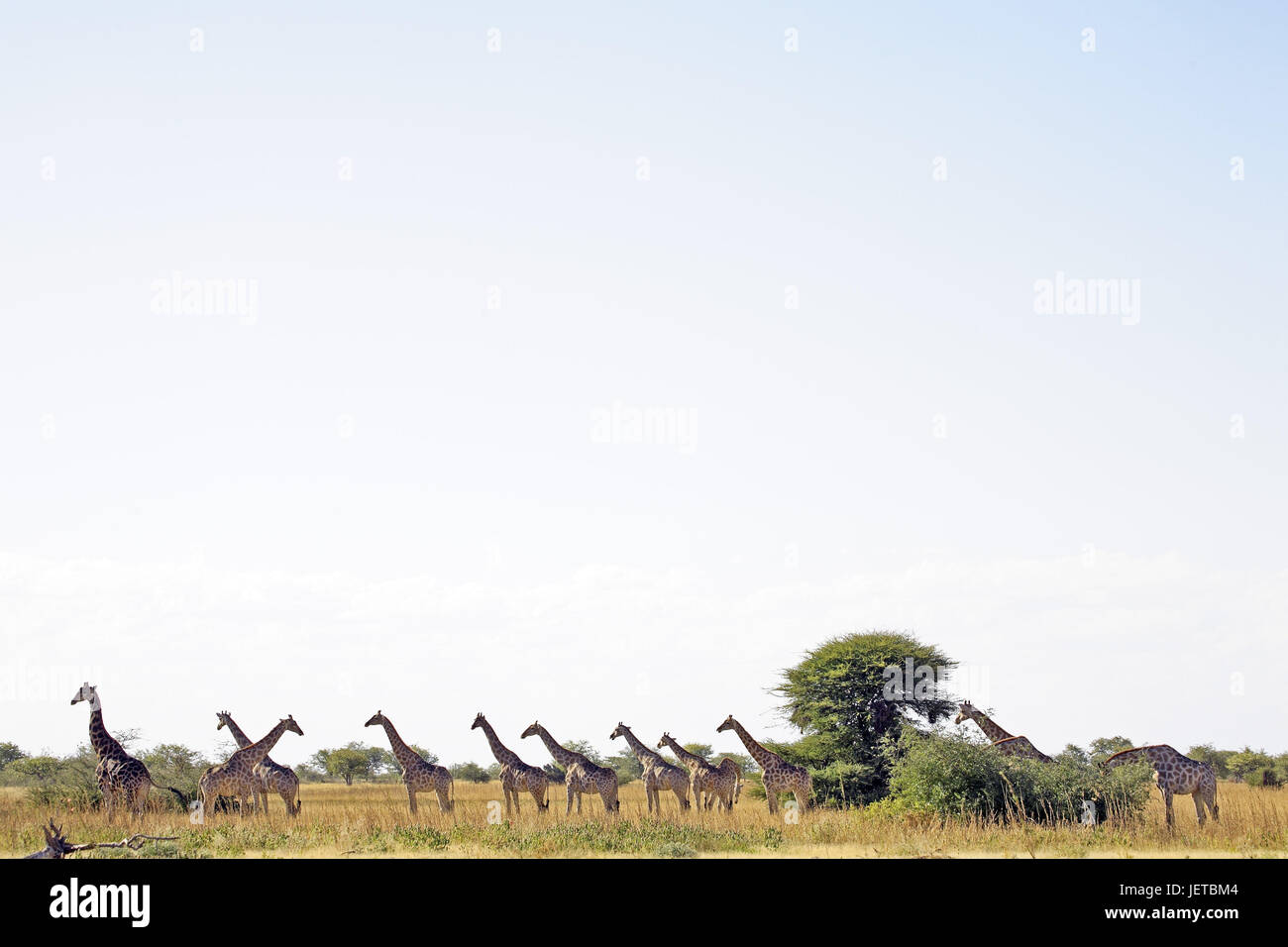 Ovamboland hi-res stock photography and images - Alamy