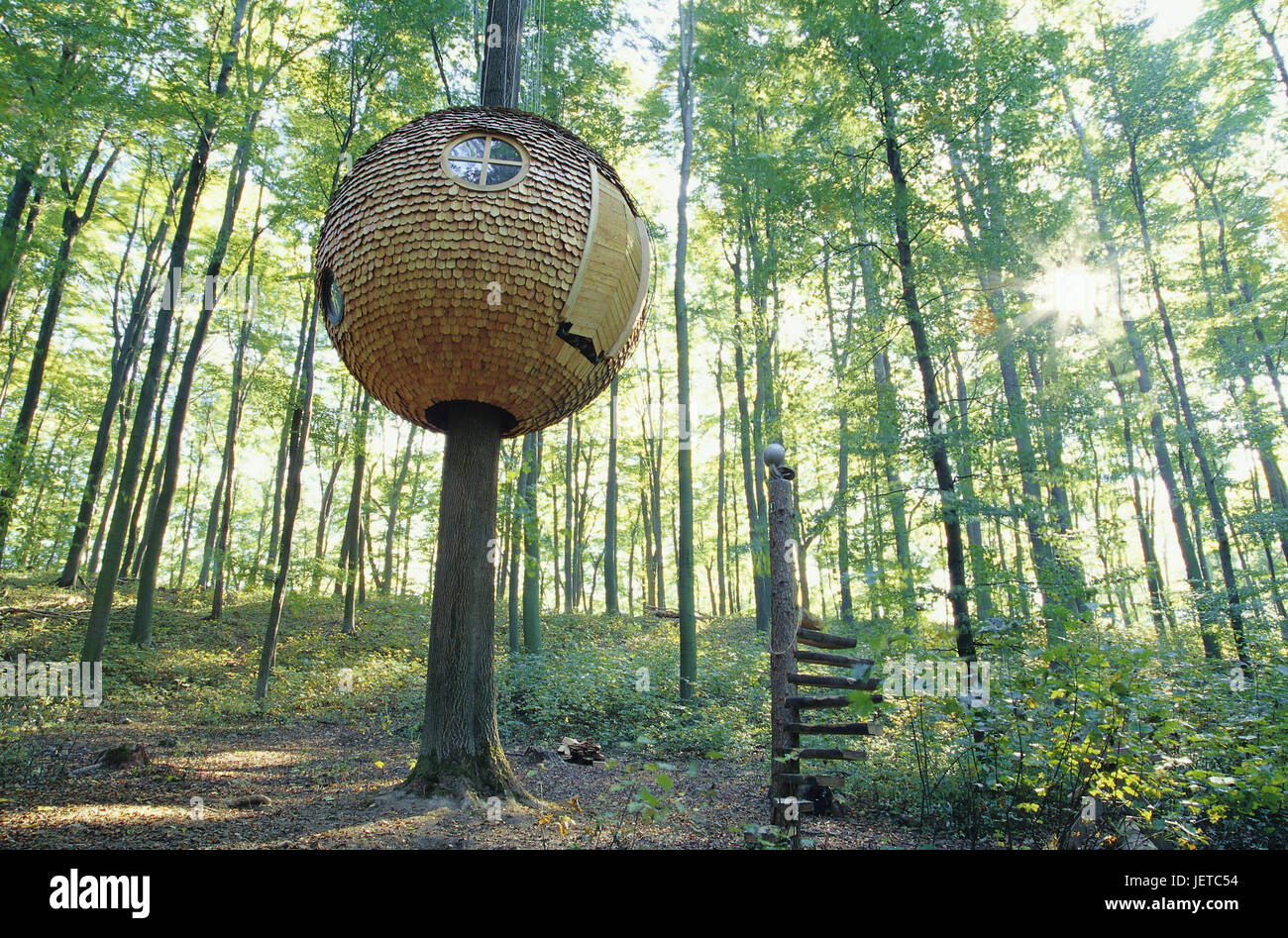 Tree and house hi-res stock photography and images - Alamy