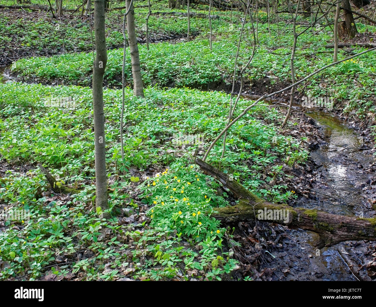 Moscow river in region hi-res stock photography and images - Alamy
