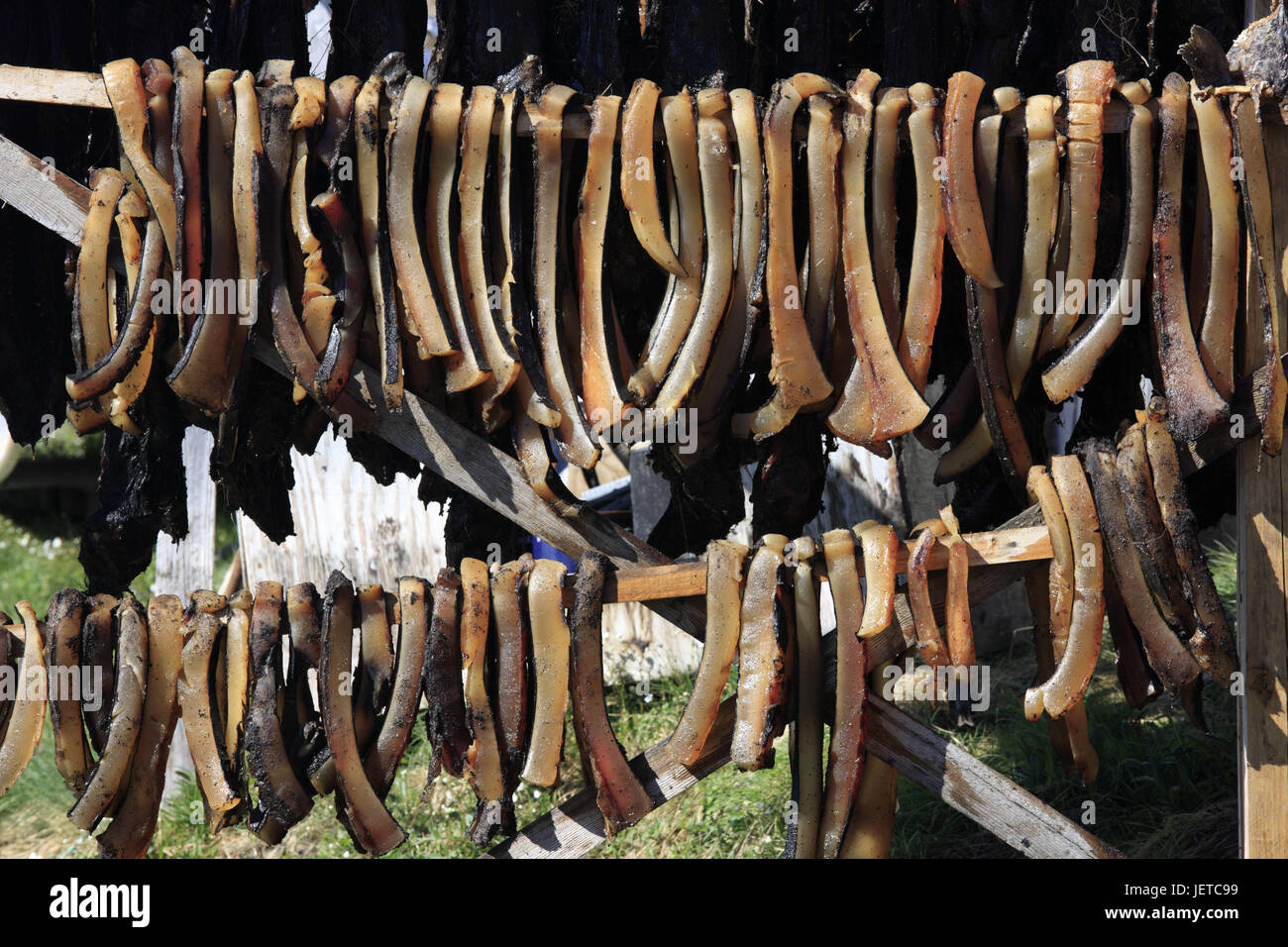 Greenland, Upernavik, wooden rack, detail, whale bacon, Robben's bacon ...