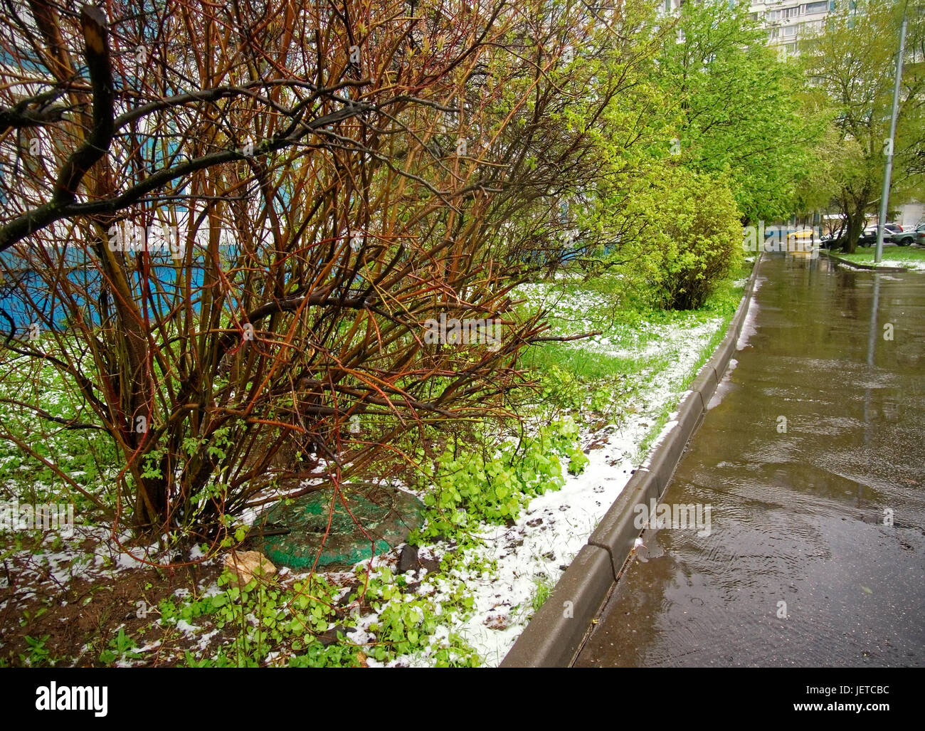 Spring snow in the city hi-res stock photography and images - Alamy