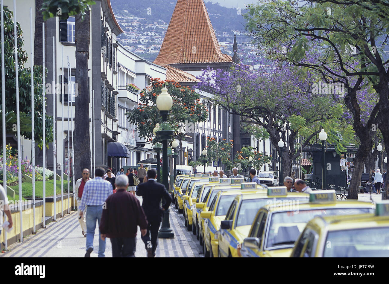 Portugal, island Madeira, Funchal, Avenida Arriaga, street scene ...