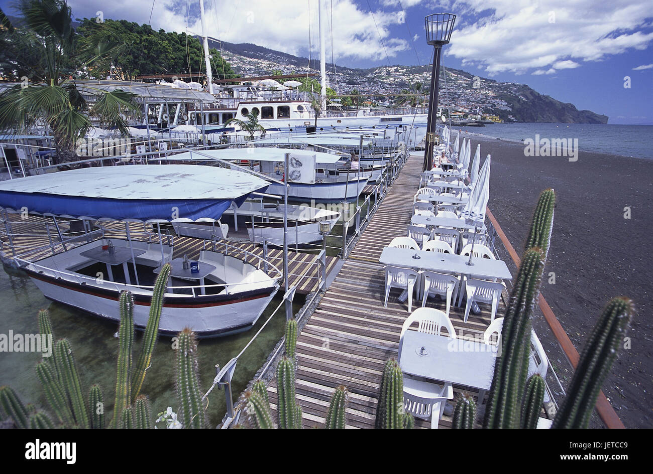 Portugal, island Madeira, Funchal, harbour, cafe, island capital ...