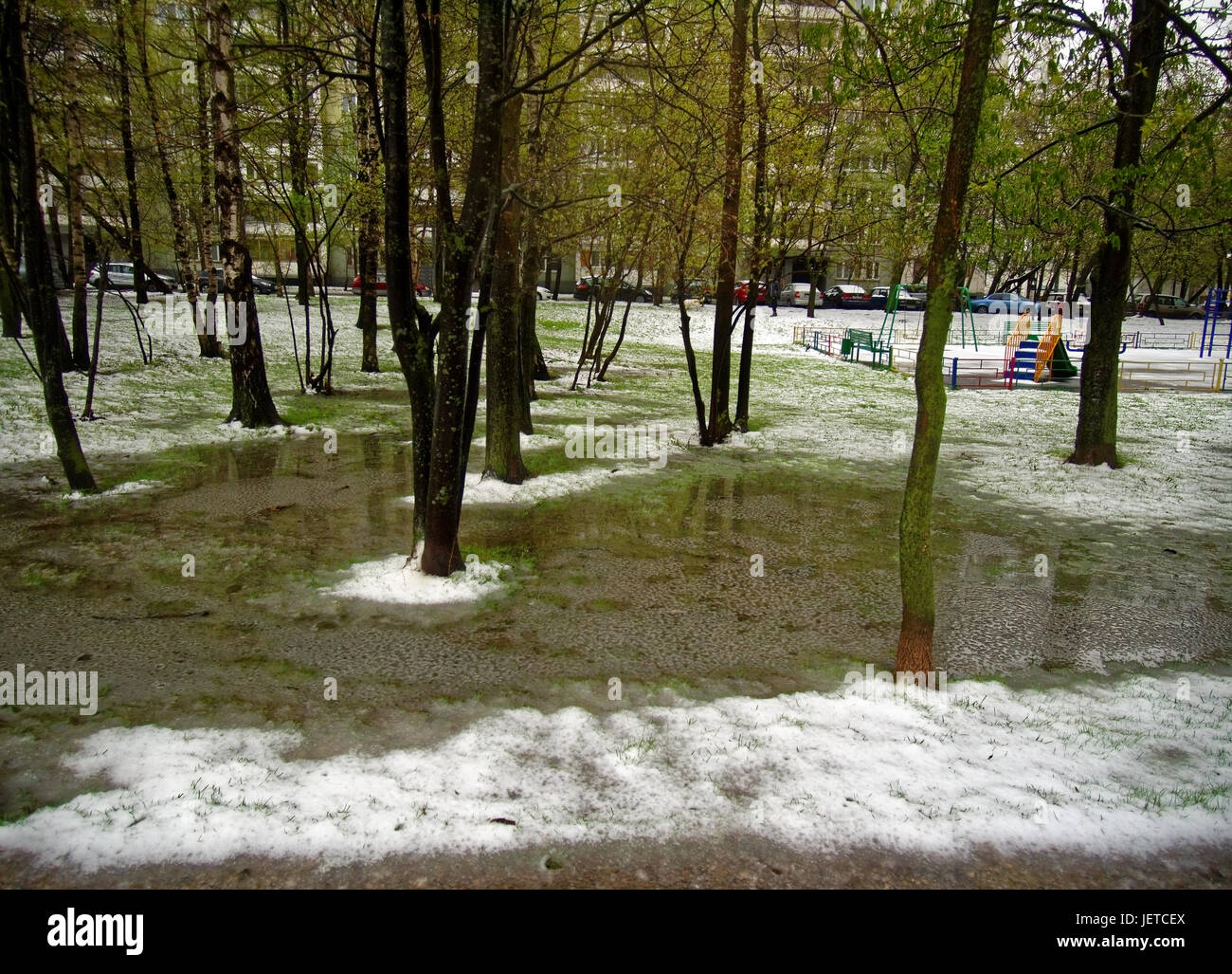 Spring snow in the city hi-res stock photography and images - Alamy
