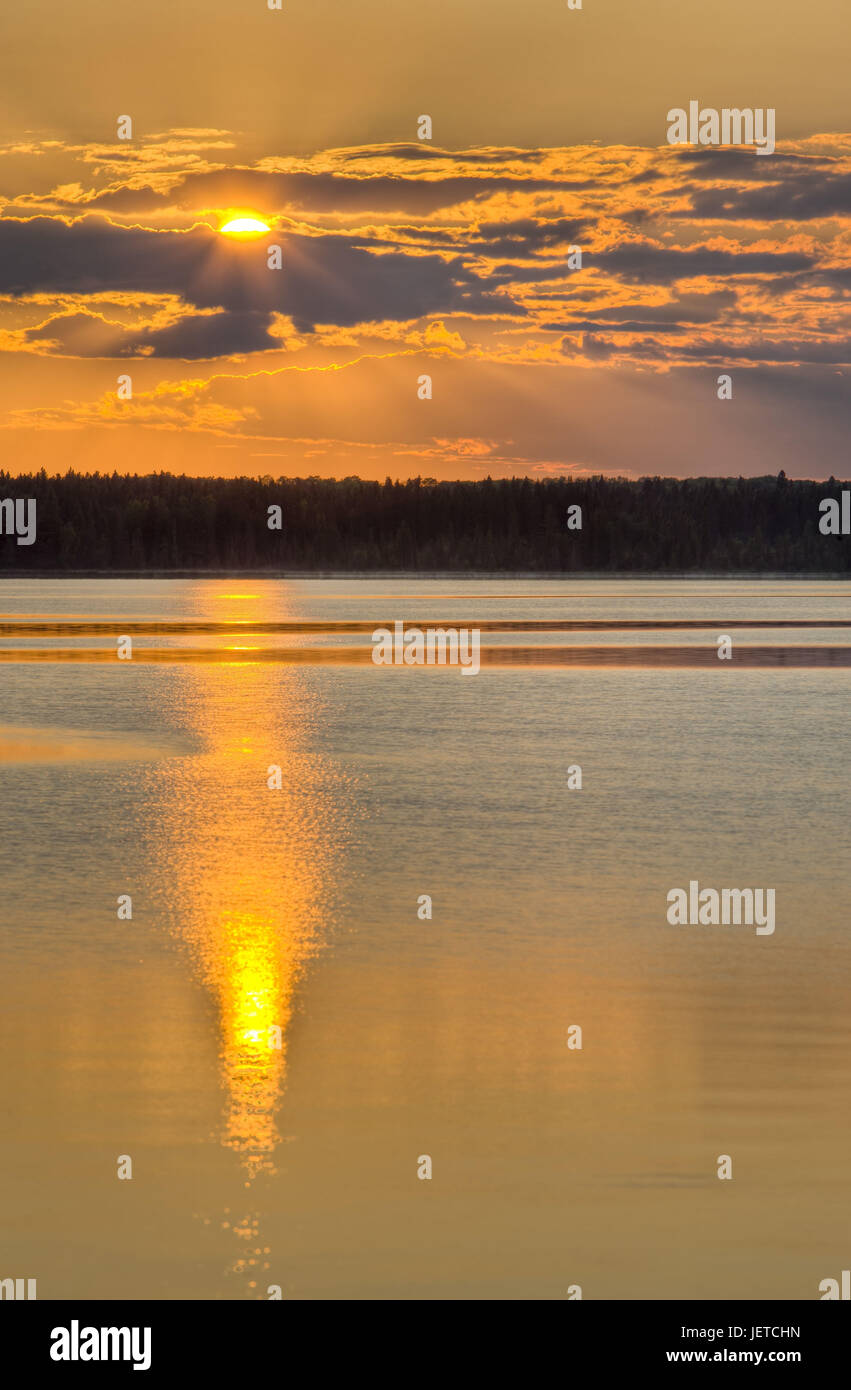 Audy hi-res stock photography and images - Alamy