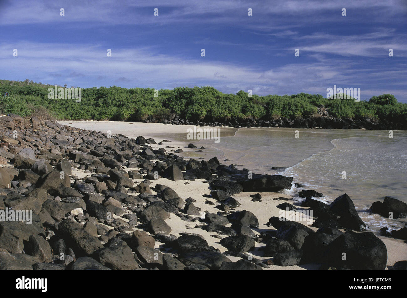 The Galapagos Islands, island Darwin, coast, rock, sandy beach, the ...