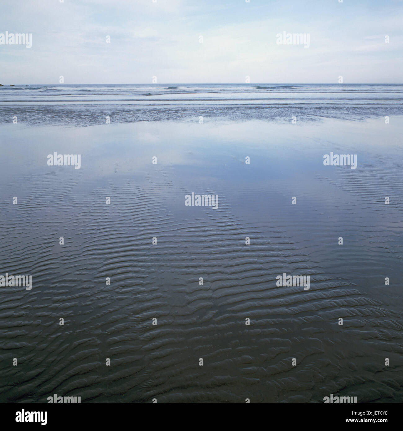 Beach, sea view, surf, coast, sandy beach, sea, water, shallowly, view ...