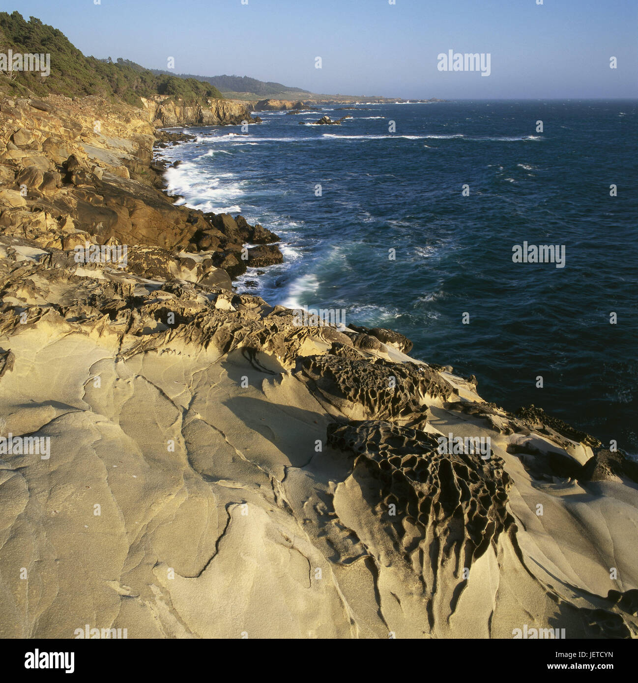 Salt point state park hi-res stock photography and images - Alamy