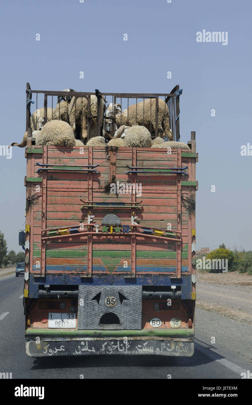 Cattle transporter hi-res stock photography and images - Alamy