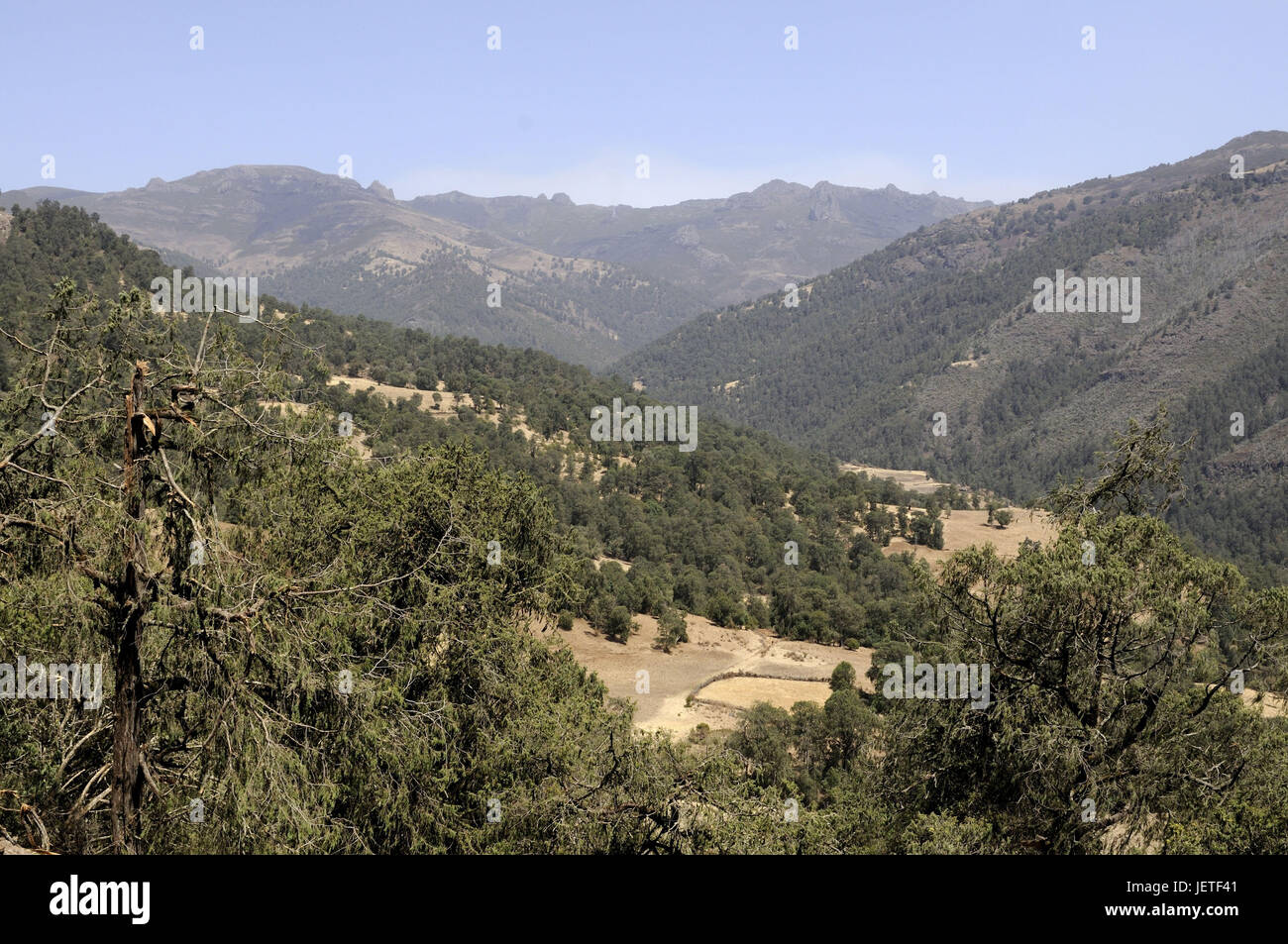 Bale mountain ethiopia hi-res stock photography and images - Alamy