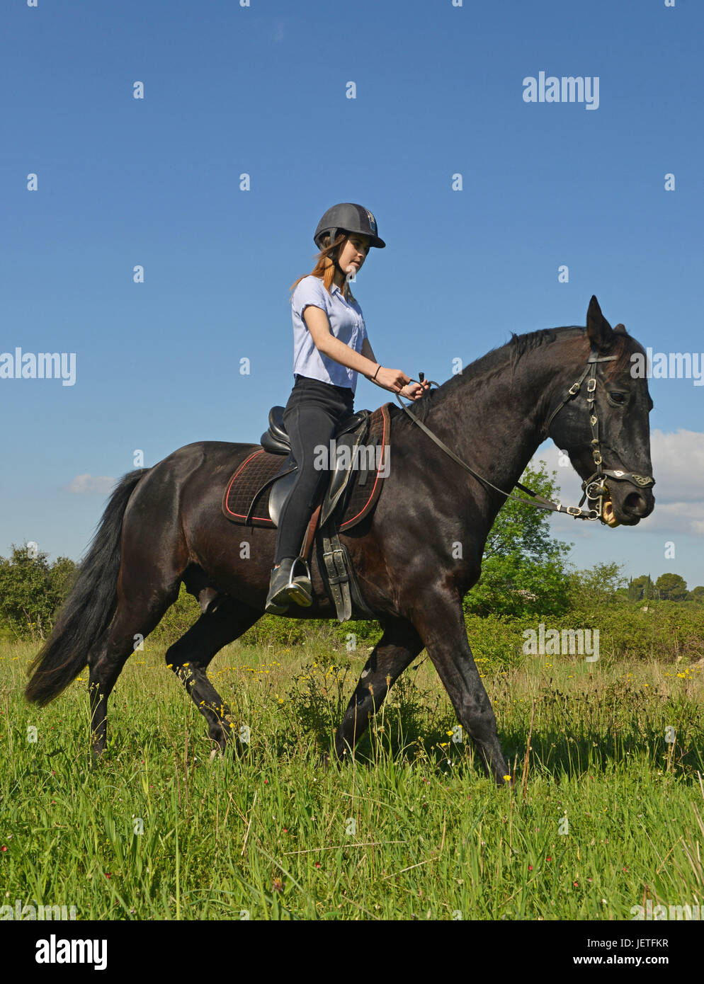young riding girl and her black stallion in nature Stock Photo - Alamy