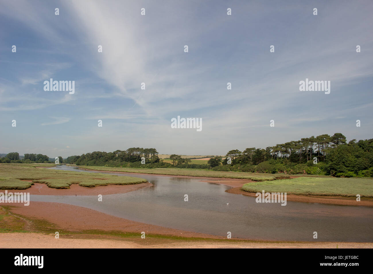River otter devon hi-res stock photography and images - Alamy