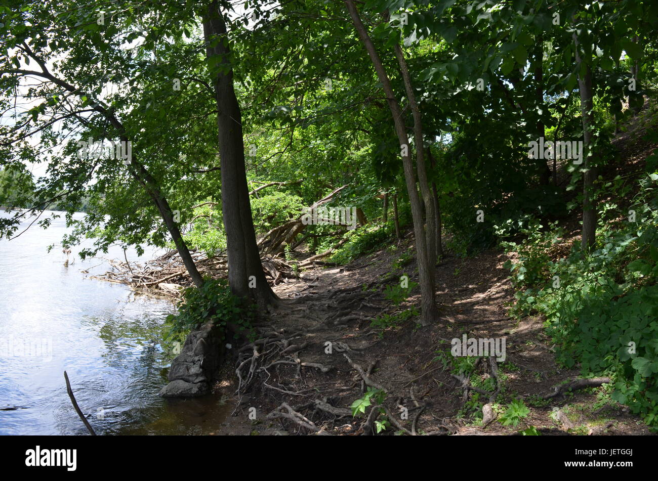 Pathway next to river Stock Photo - Alamy