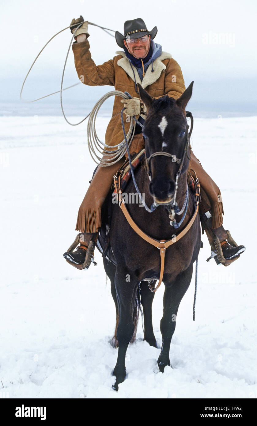 Lasso-swinging cowboy, Canada, Lassoschwingender Cowboy - Kanada Stock ...