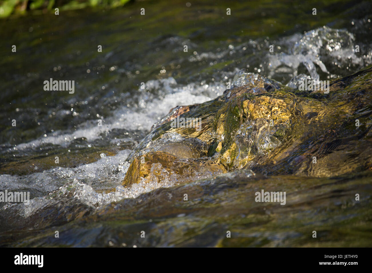 Running water stream plant hi-res stock photography and images - Alamy