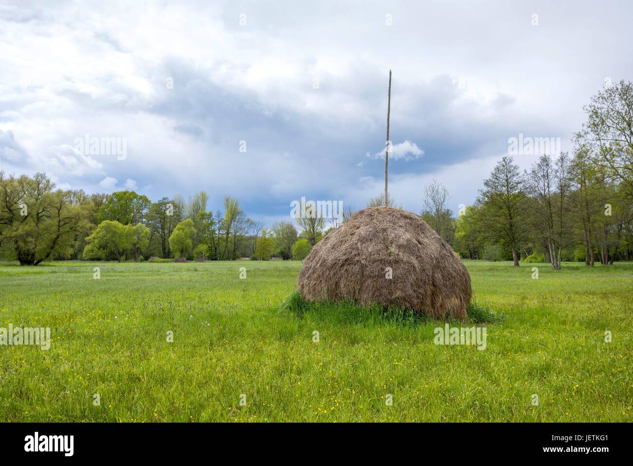 Spring in the Spreewald (Spree forest) in Luebbenau/Lehde (Brandenburg ...