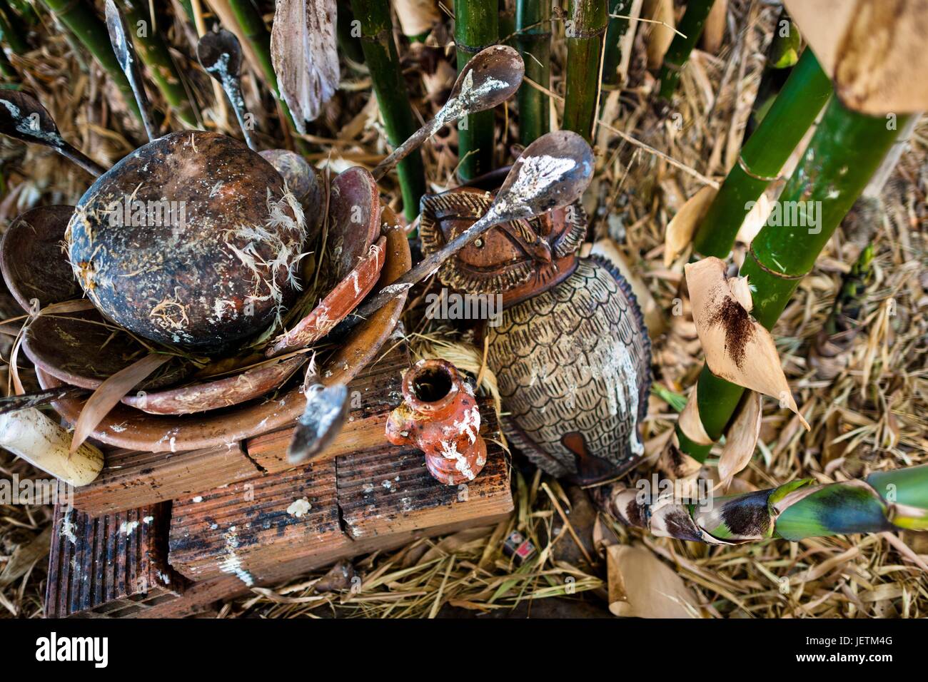 Feathers of a sacrificed chicken are seen at an Afro-Brazilian ...