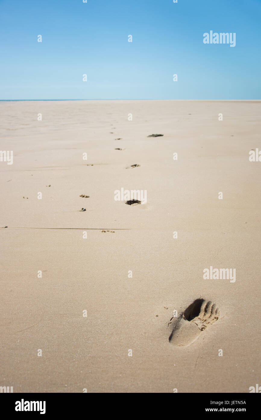 Footsteps in the sand Stock Photo - Alamy