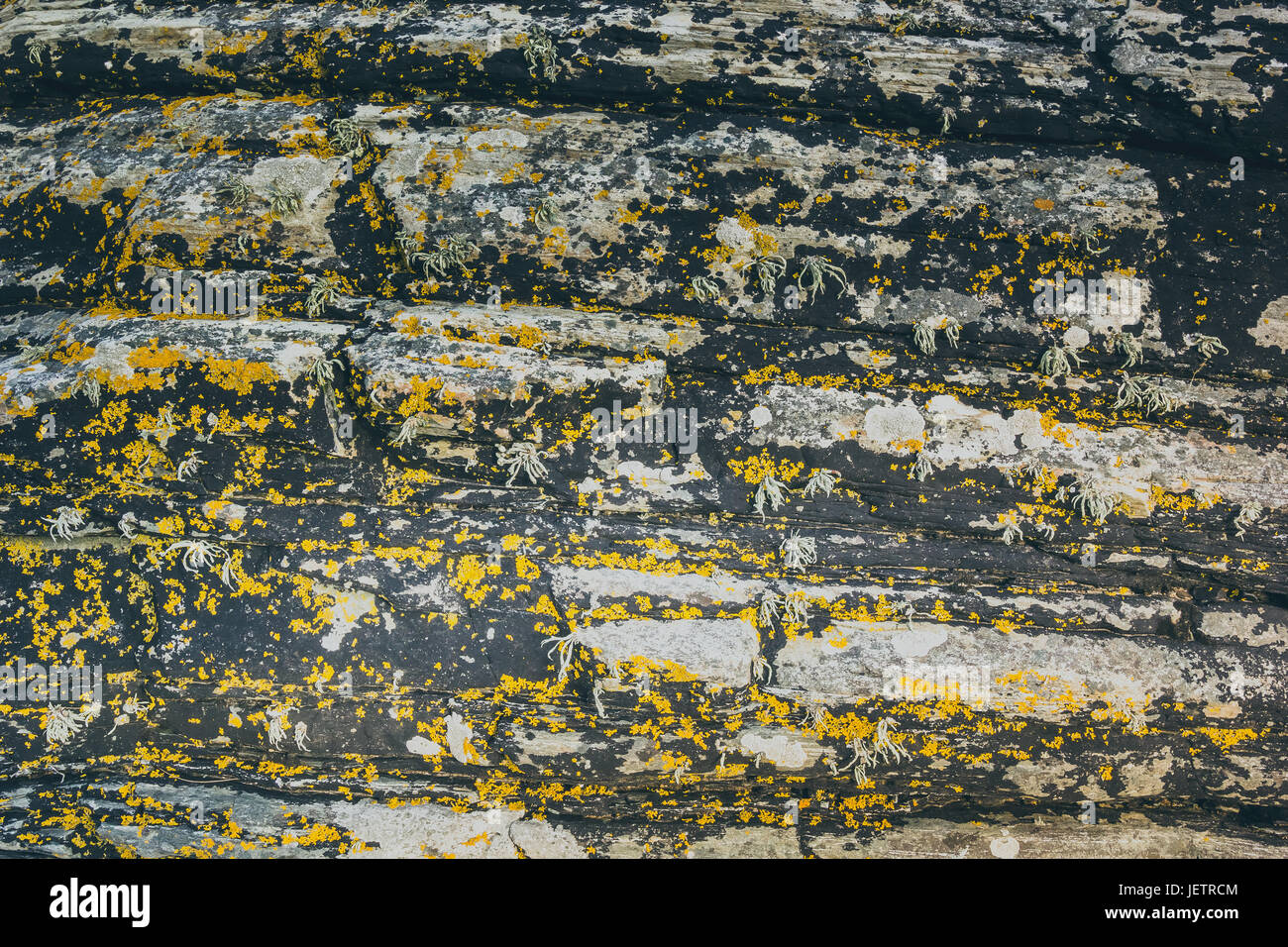 pebbles showing a lot of character at County Antrim beach Stock Photo ...