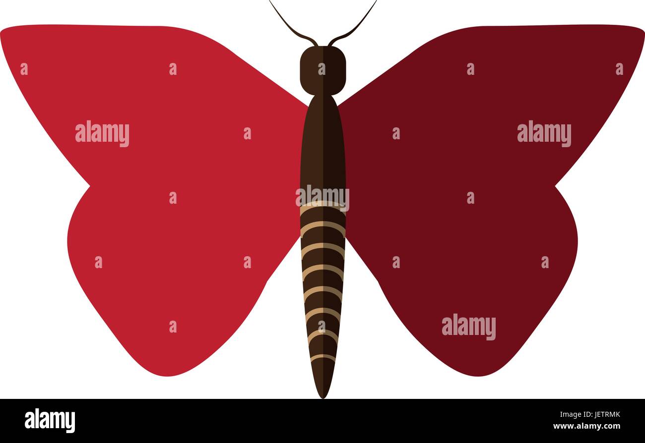 butterfly cartoon icon image Stock Vector Image & Art - Alamy