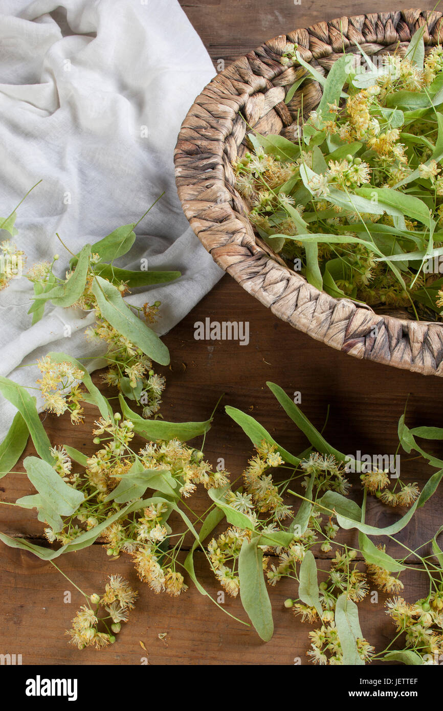 Rattan pannier with fresh linden blossom herb on wooden background ...