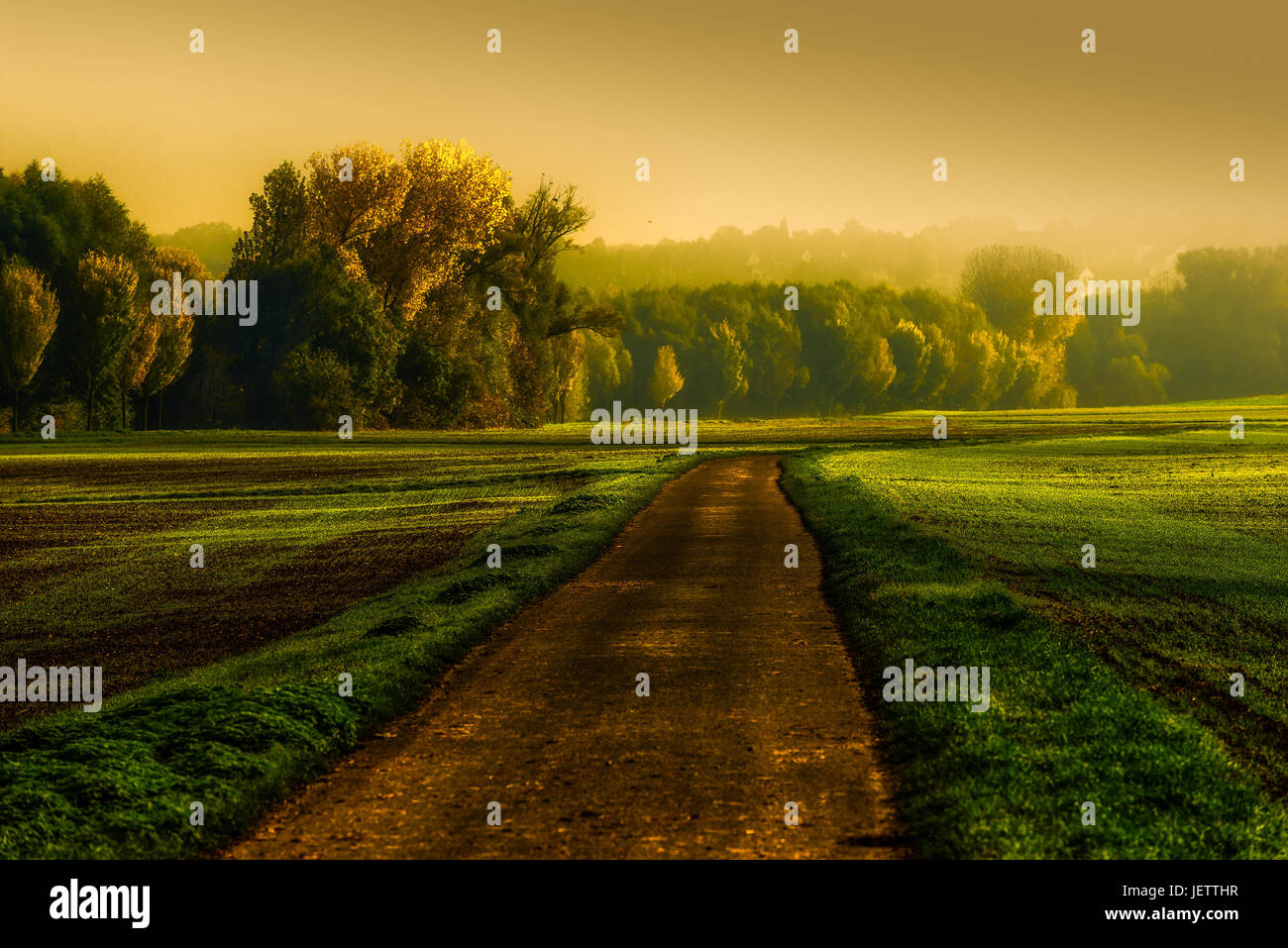 Rural fine art autumn bright water-colored sunrise fall countryside in ...