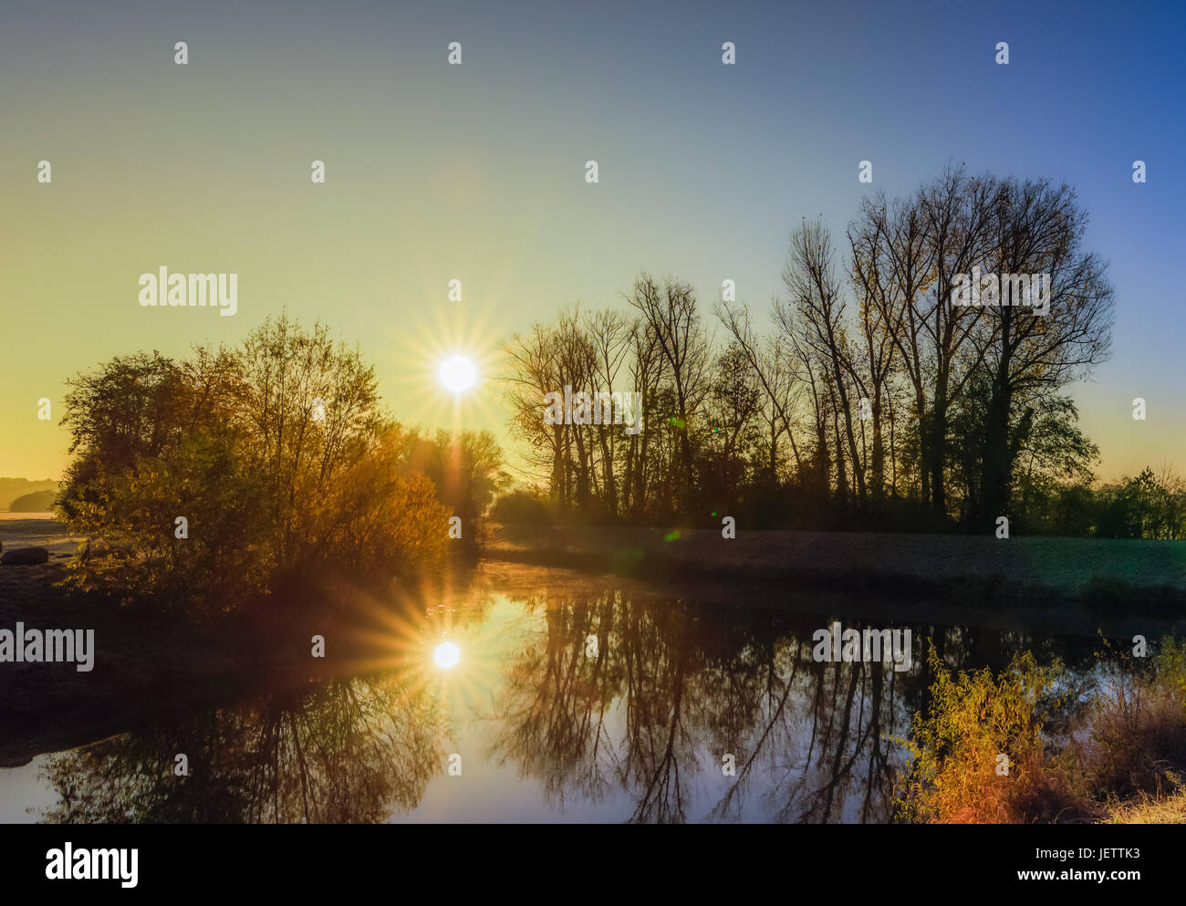 Misty sunny autumnal November morning with golden sun and tree ...