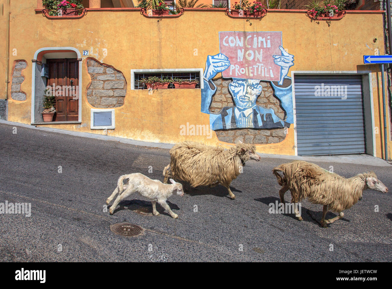 The murals of the city of Orgosolo Stock Photo - Alamy