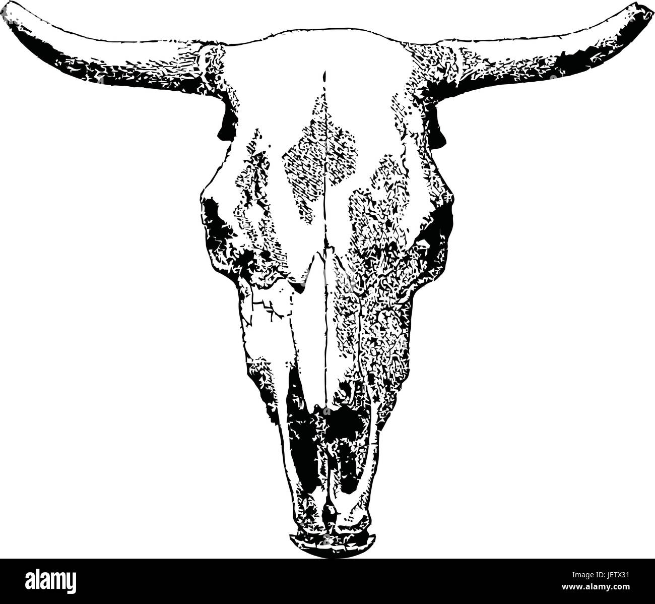 art, isolated, animal, mammal, illustration, skull, scary, cow ...