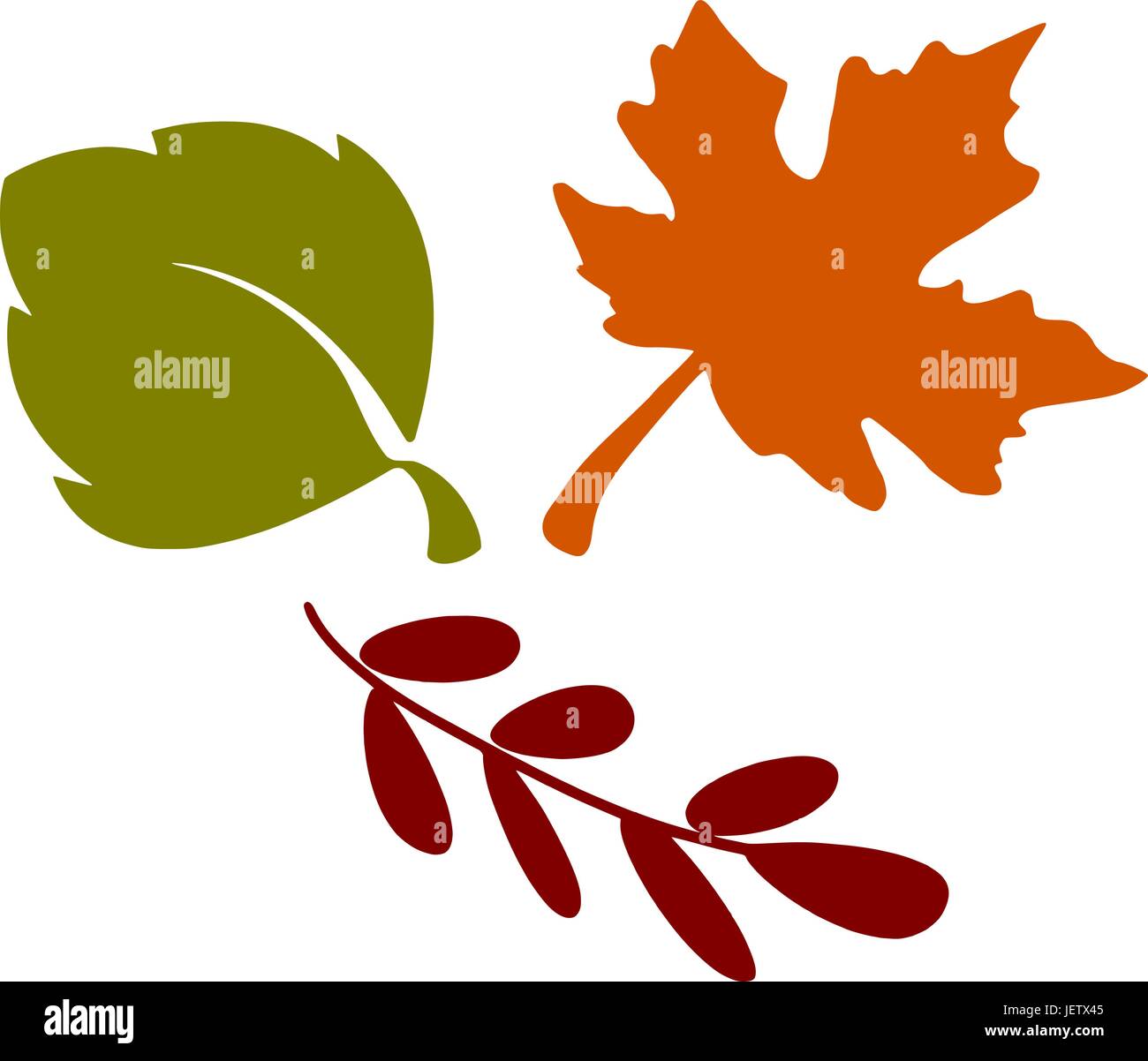 Colour photo of leaves Stock Vector Images - Alamy