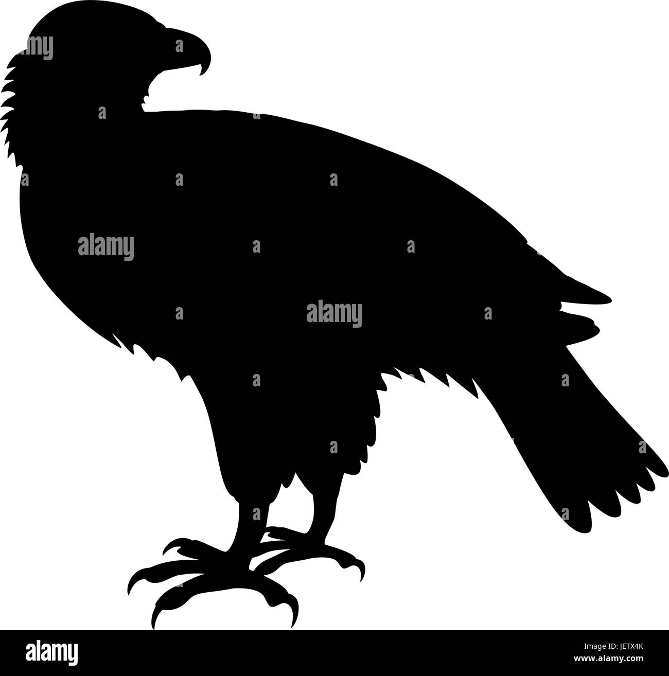 Iron Eagle Nazi Symbol