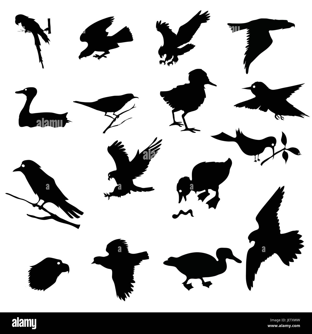 bird, feathers, silhouette, element, group, white, pictogram, symbol ...