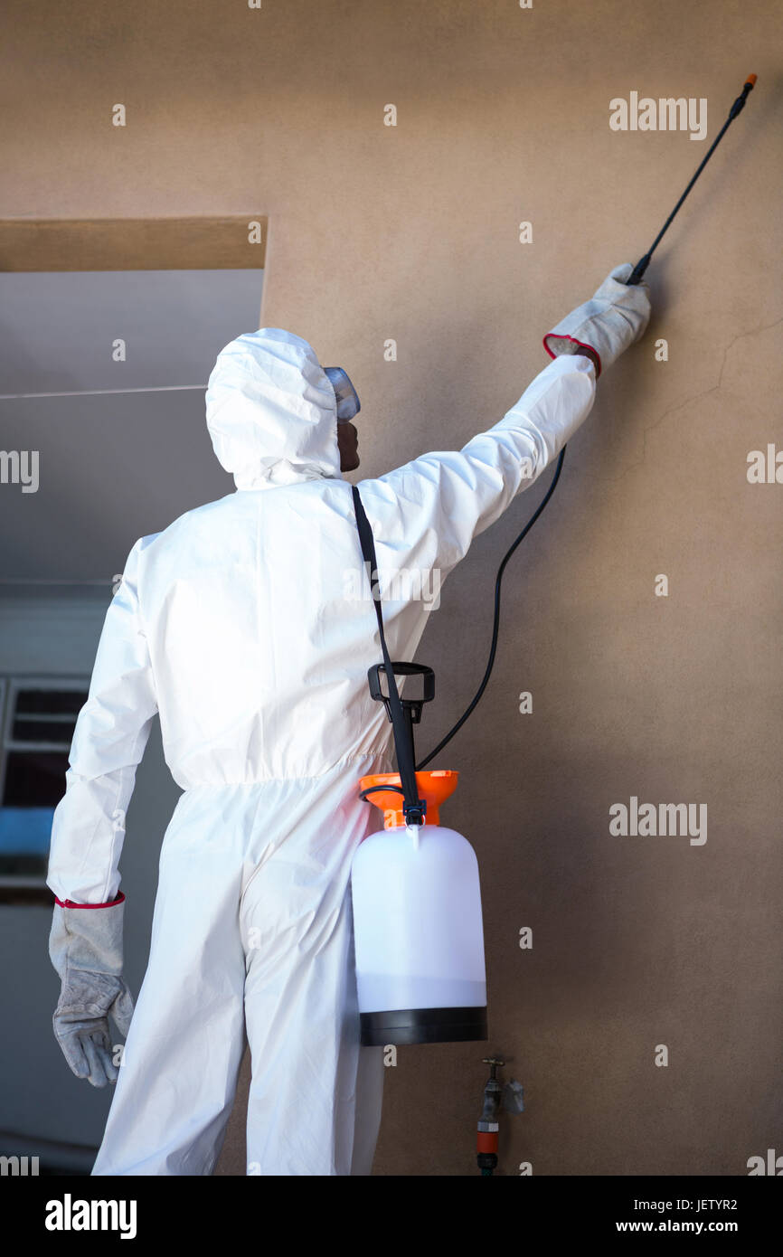 Rear view of a man doing pest control Stock Photo - Alamy