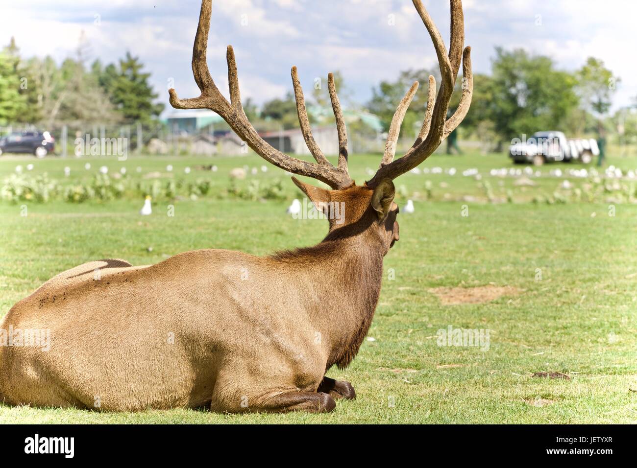 Going somewhere hi-res stock photography and images - Alamy