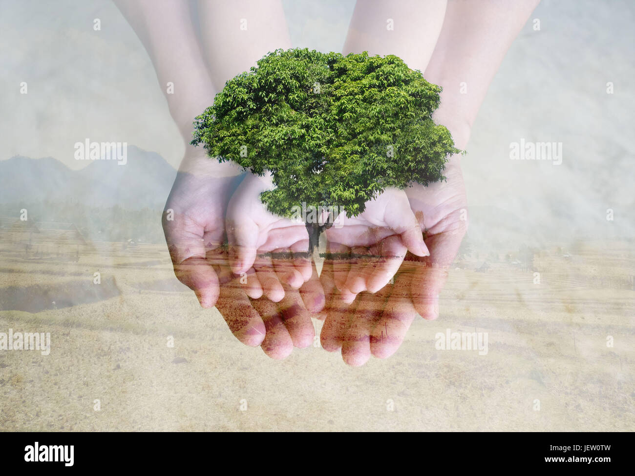 Save green environment with tree planting on family's hands over ...