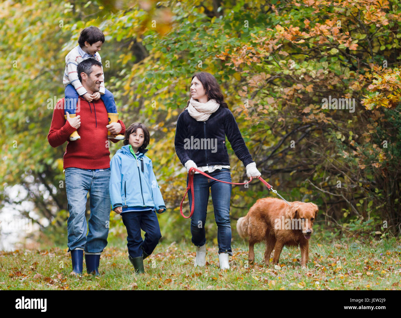 Family with dog walking through forest Stock Photo - Alamy