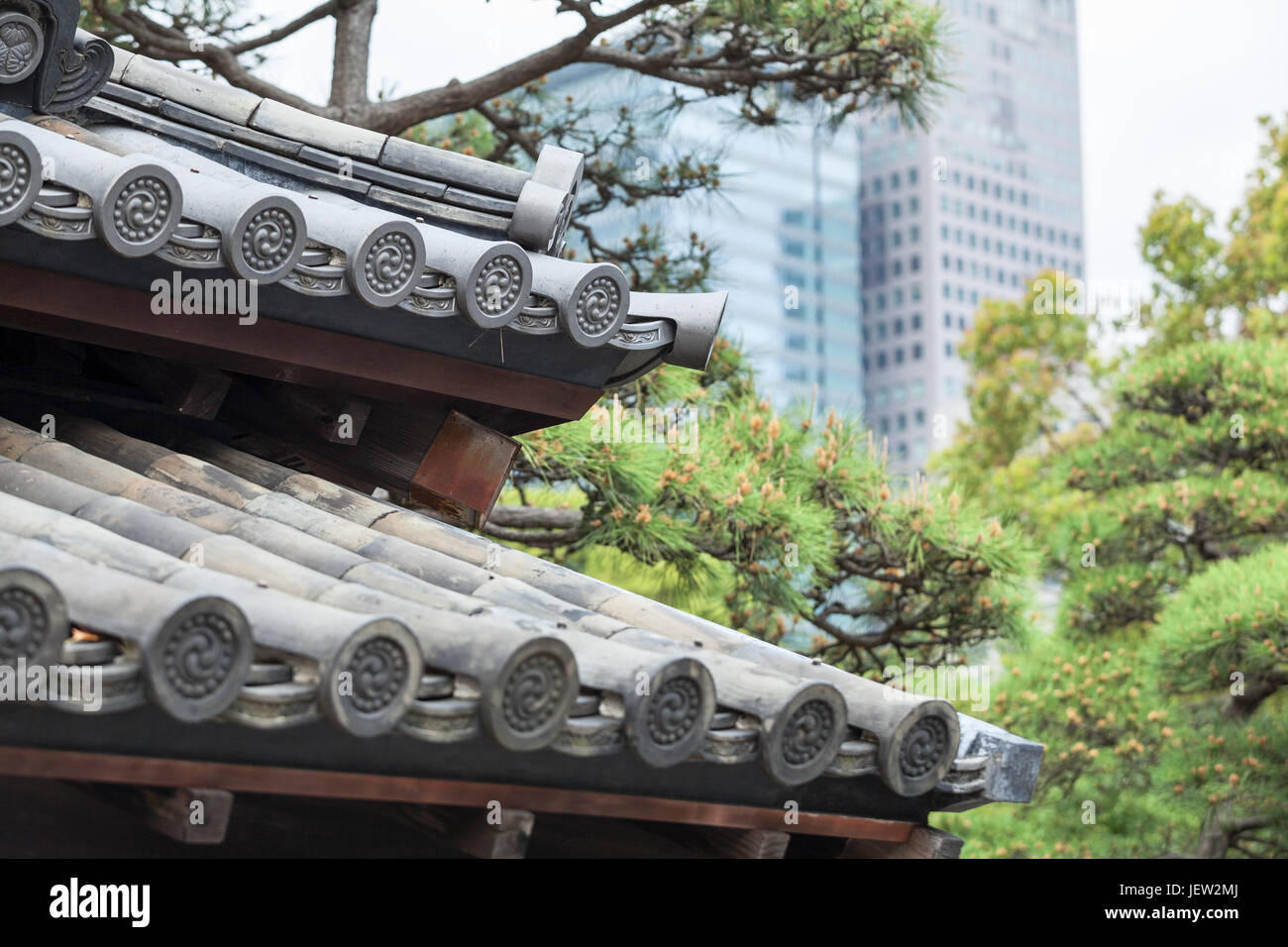 Part of ancient traditional Japanese roof against evergreen pines and ...