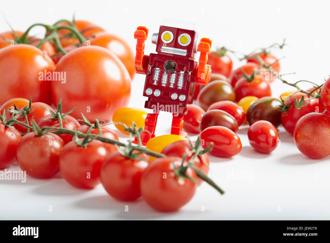 Tomatoes and small robot, studio shot Stock Photo - Alamy
