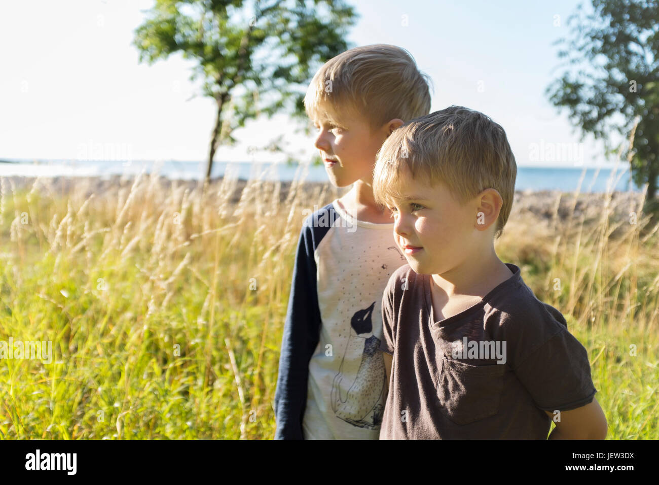 Boys on meadow Stock Photo - Alamy