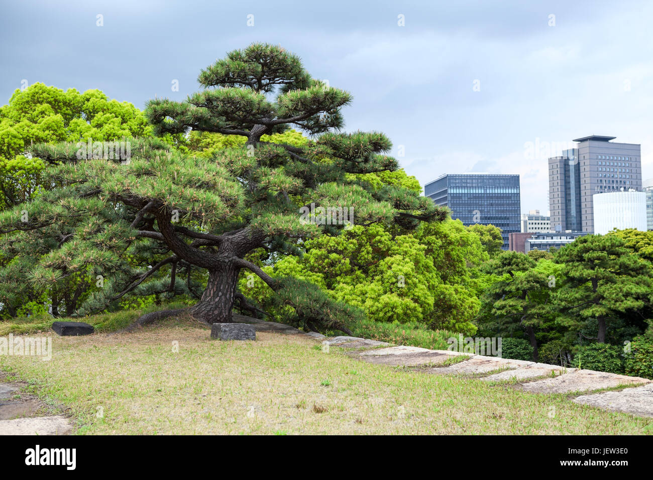 Nishinomaru garden hi-res stock photography and images - Alamy