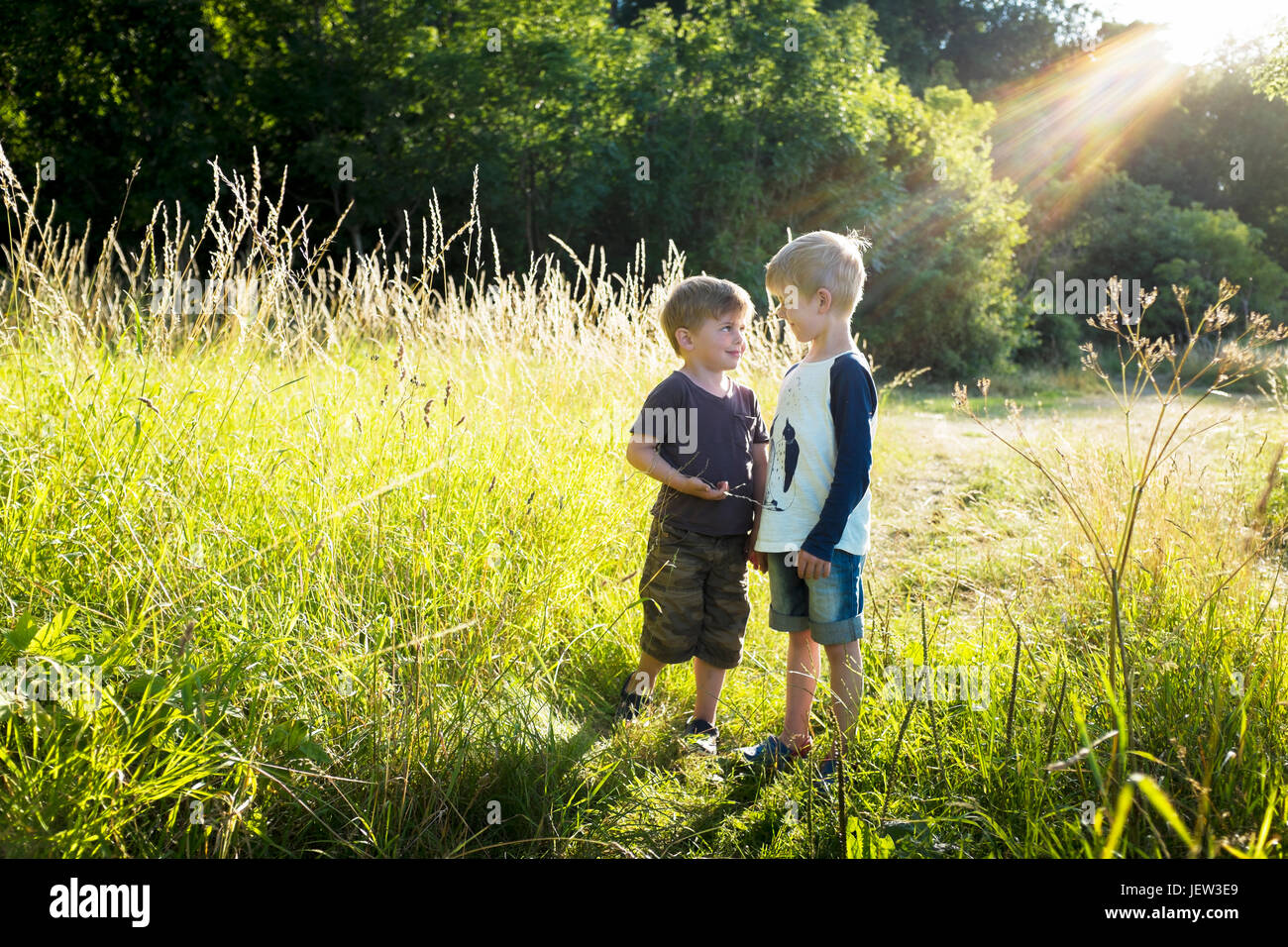 Boys on meadow Stock Photo - Alamy