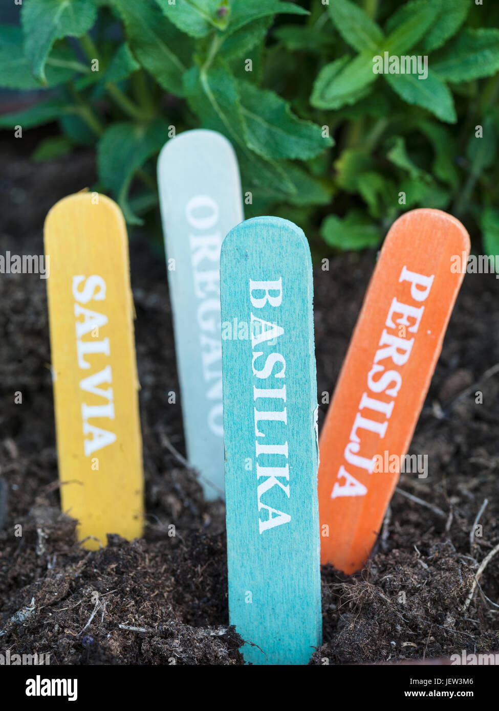Garden wooden labels hi-res stock photography and images - Alamy