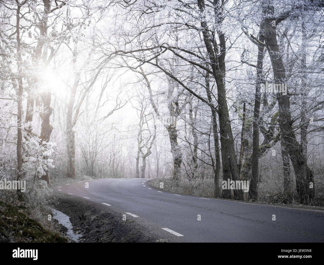 Road through winter forest Stock Photo - Alamy