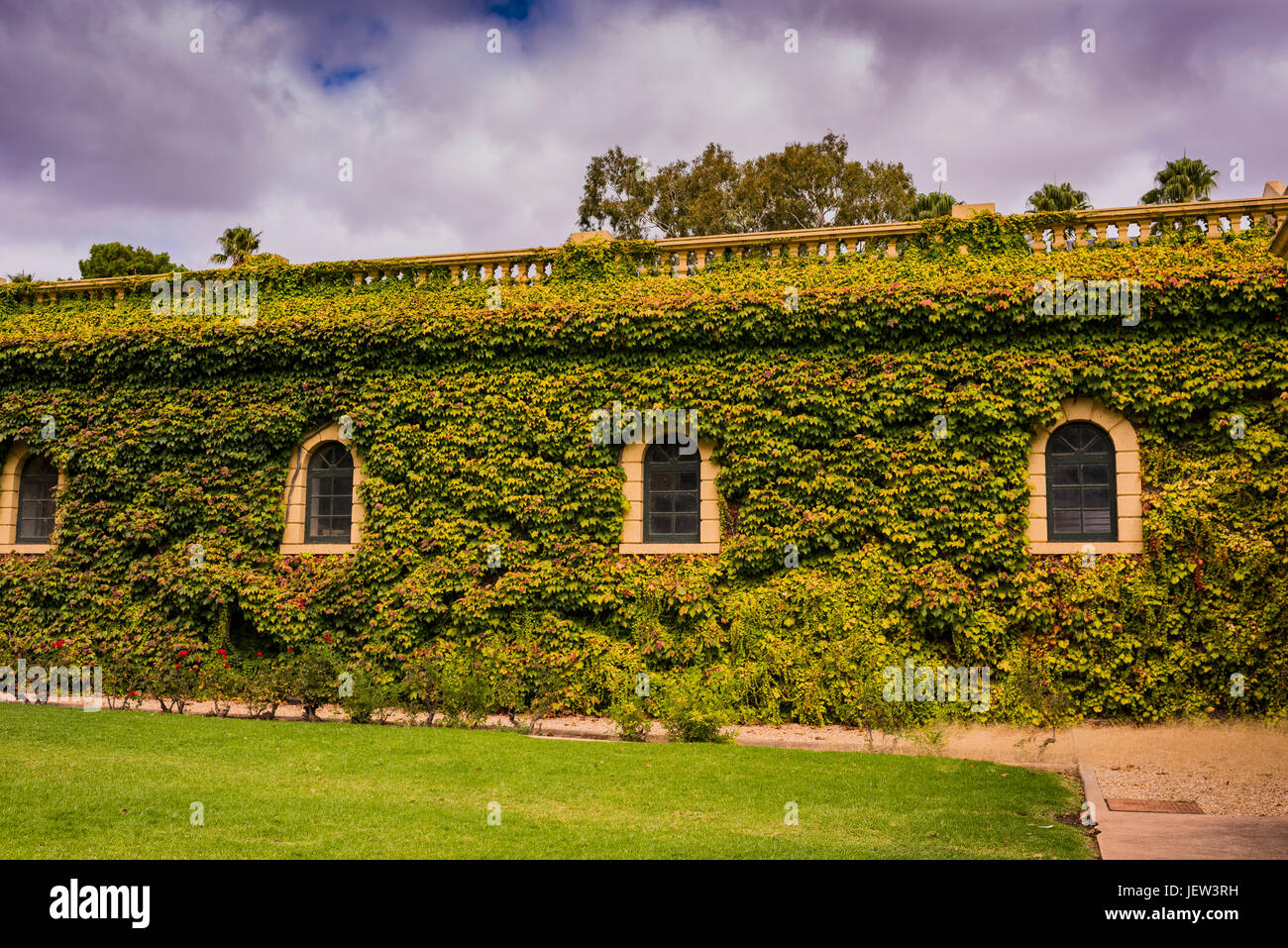 Seppeltsfield hi-res stock photography and images - Alamy