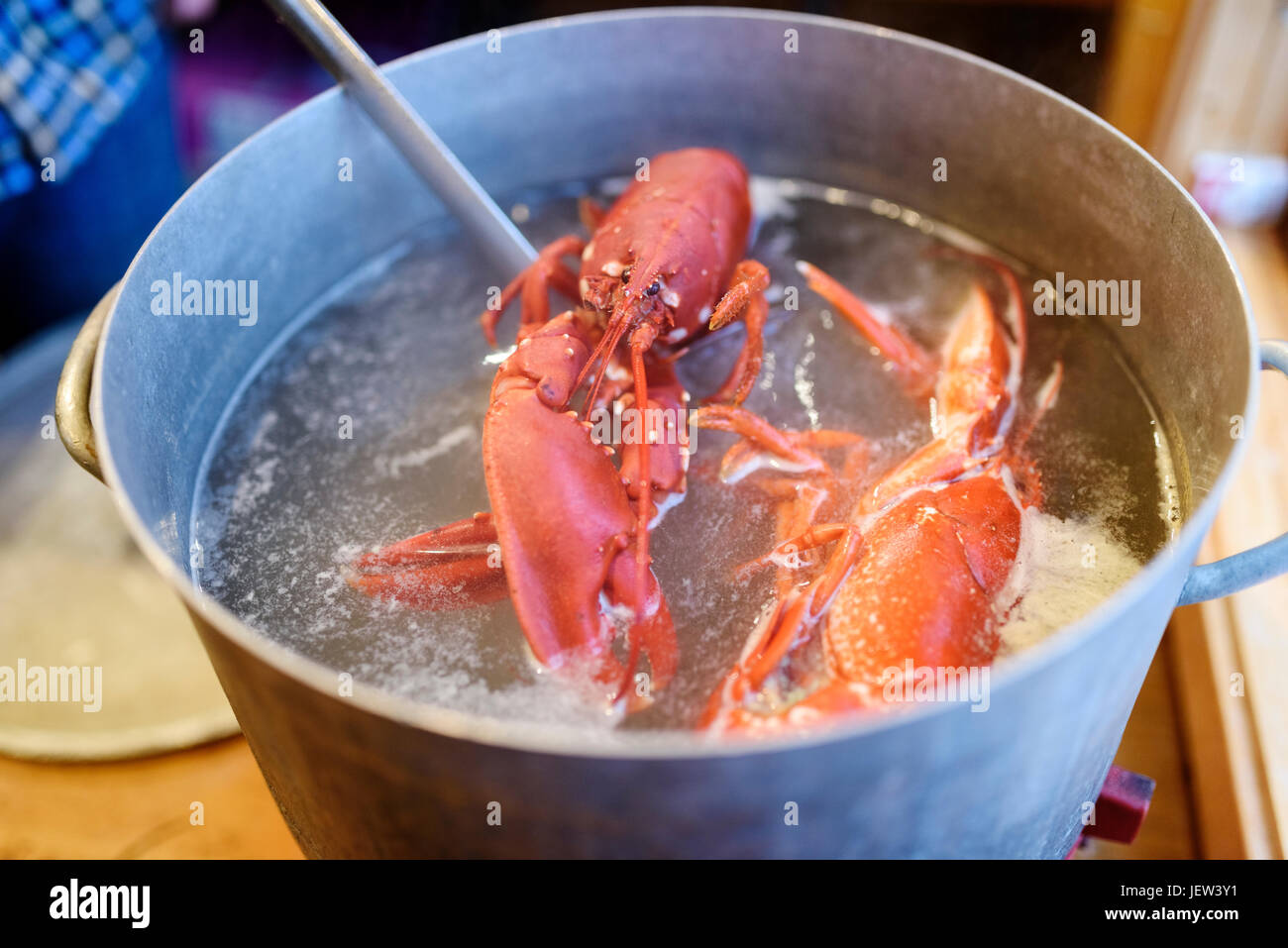 Boiling lobster hi-res stock photography and images - Alamy