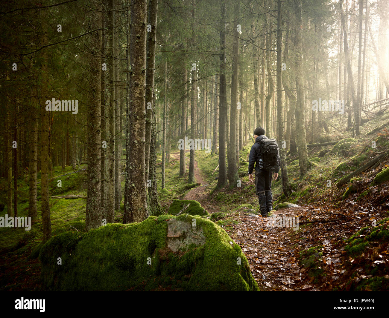 Man in forest Stock Photo - Alamy
