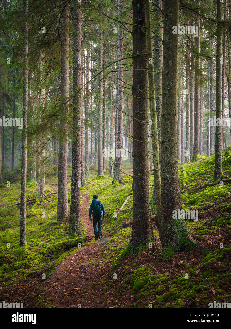 Man in forest Stock Photo - Alamy