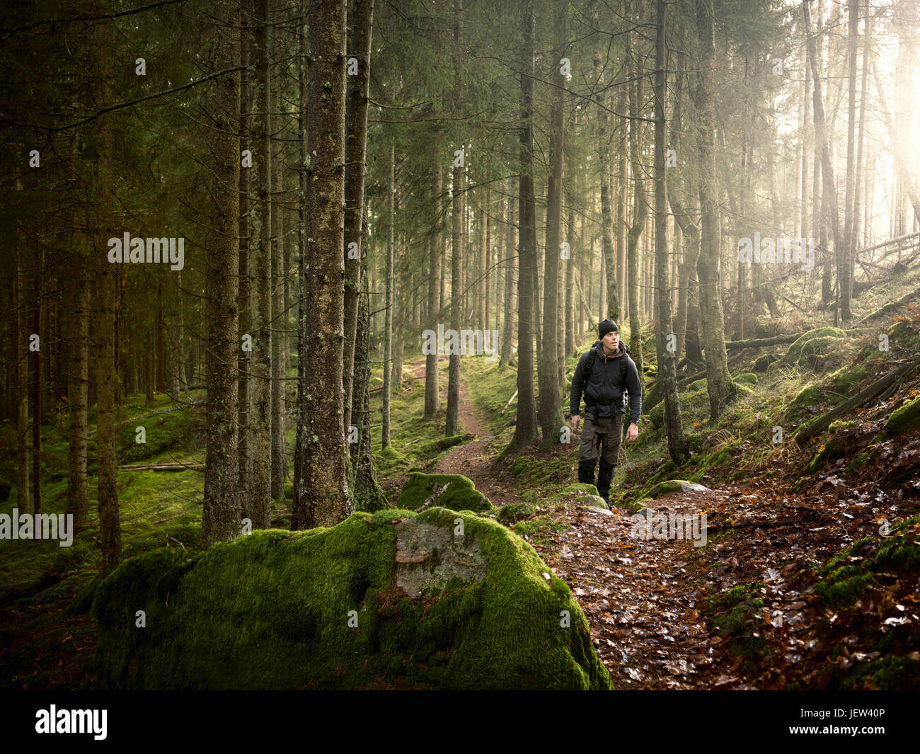 Man in forest Stock Photo - Alamy